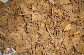 Pao Pereira – SacredRootz